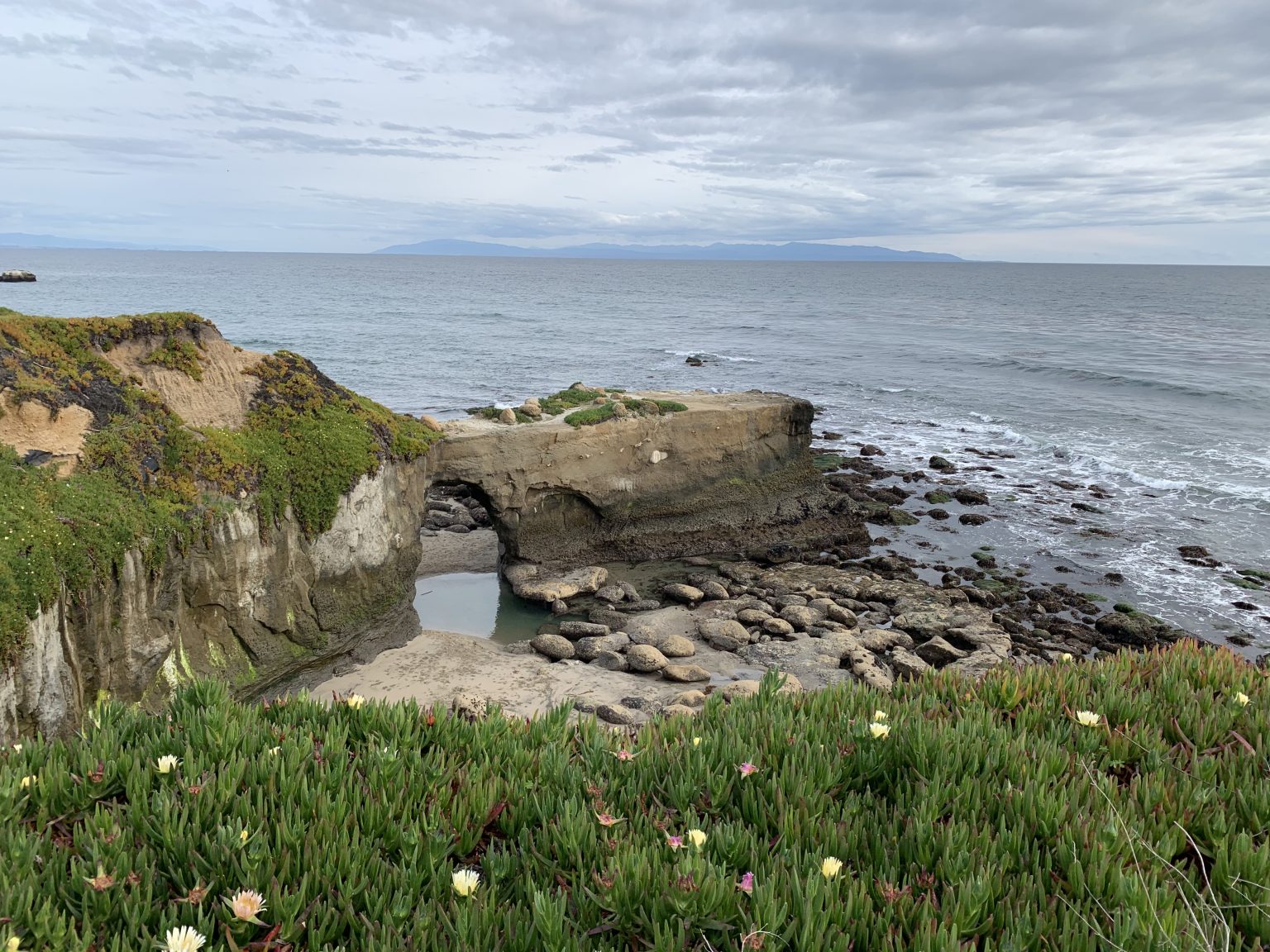 Natural Bridges State Park Santa Cruz California - Northeast Allie