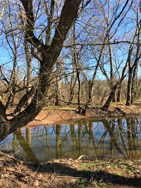 Perkiomen Trail Pennsylvania - Northeast Allie