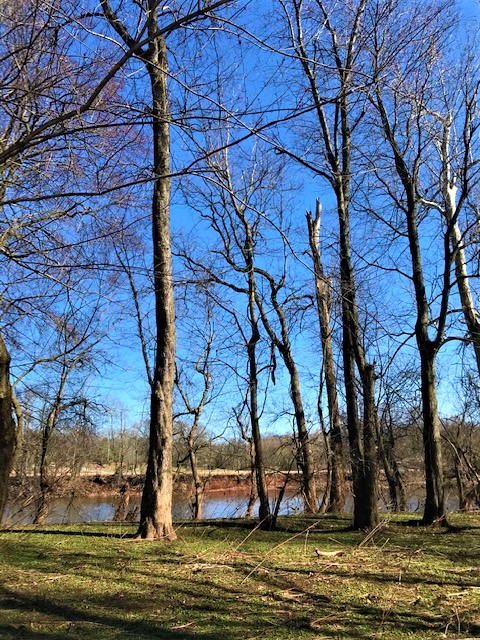Perkiomen Trail Pennsylvania - Northeast Allie