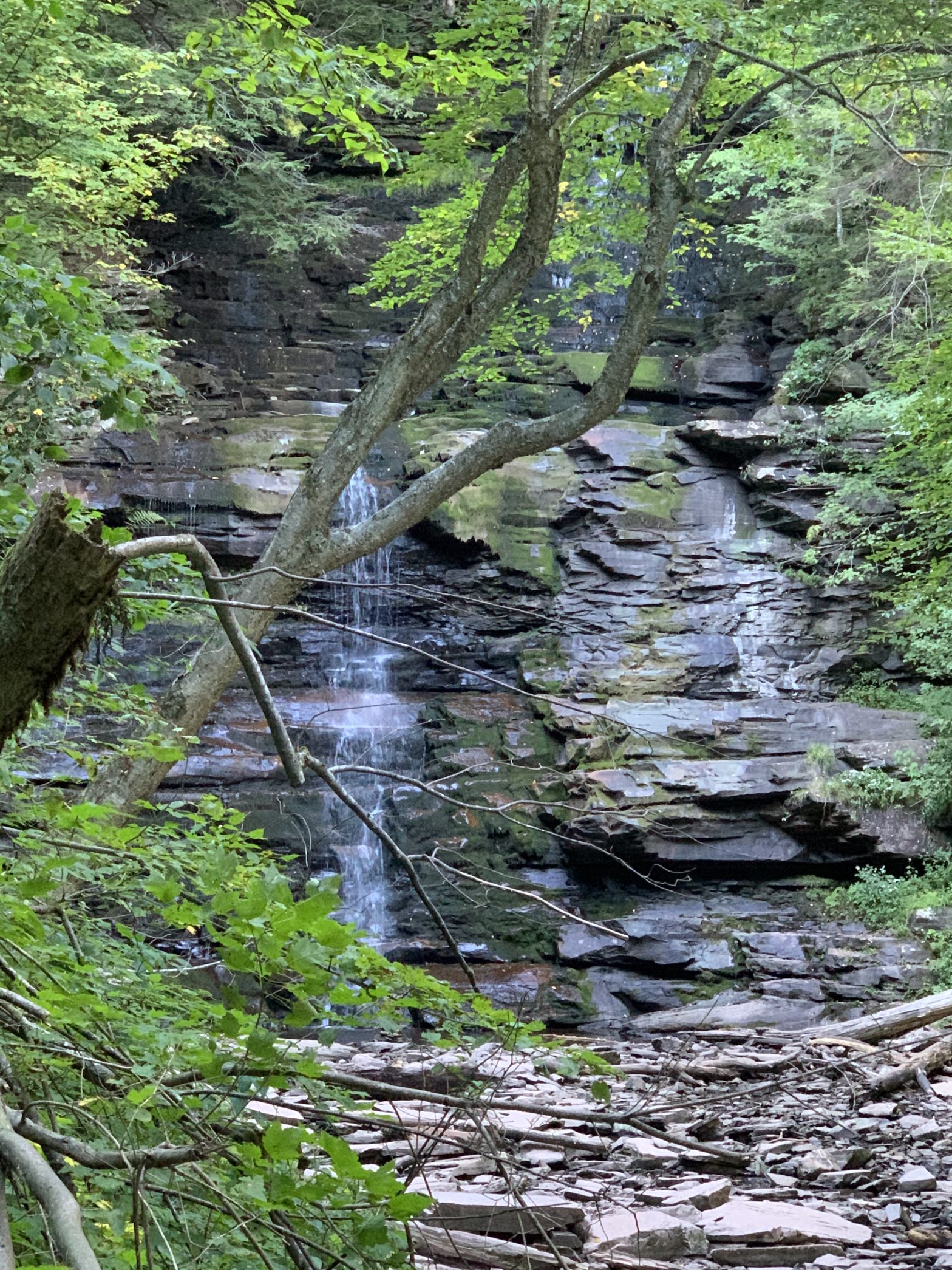 Ricketts Glen State Park - Northeast Allie