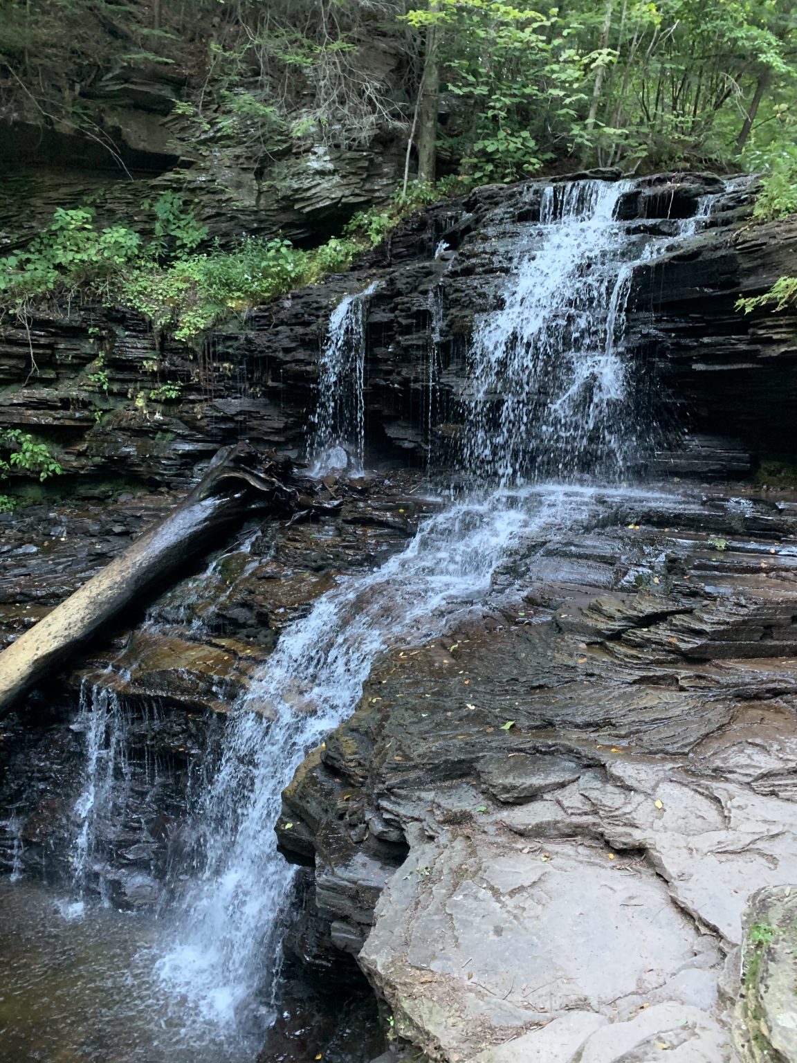 Ricketts Glen State Park - Northeast Allie