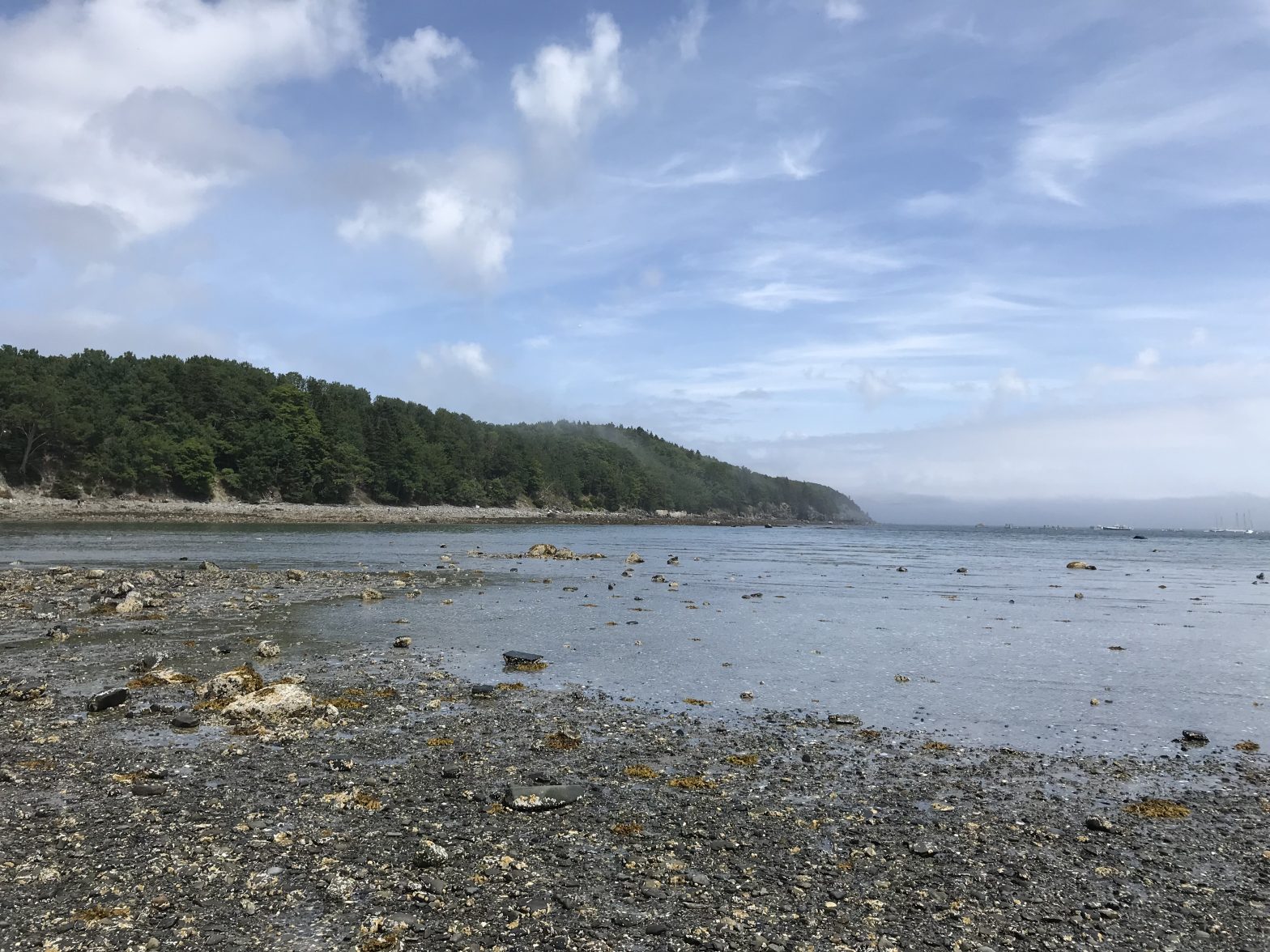 Bar Island Acadia National Park Maine - Northeast Allie