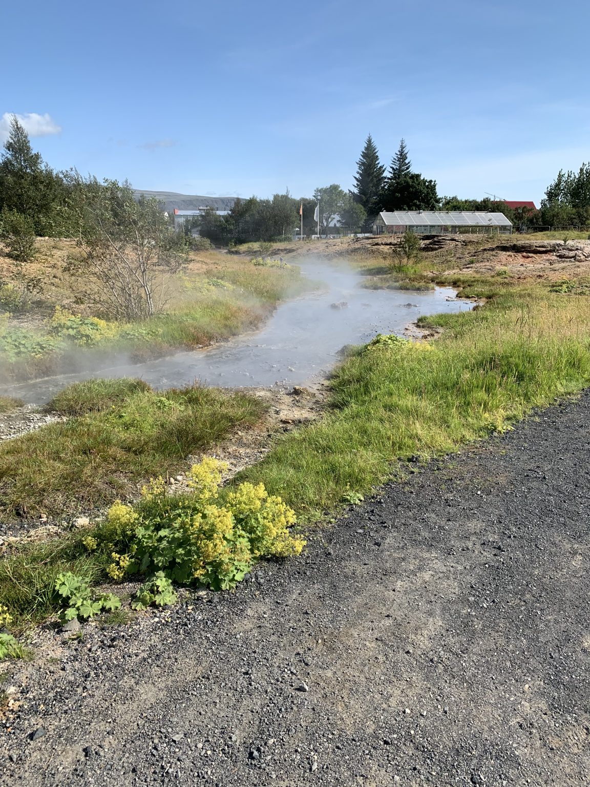 The Geothermal Park In Hveragerdi Iceland - Northeast Allie