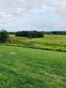 The Historical Valley Forge National Park - Northeast Allie