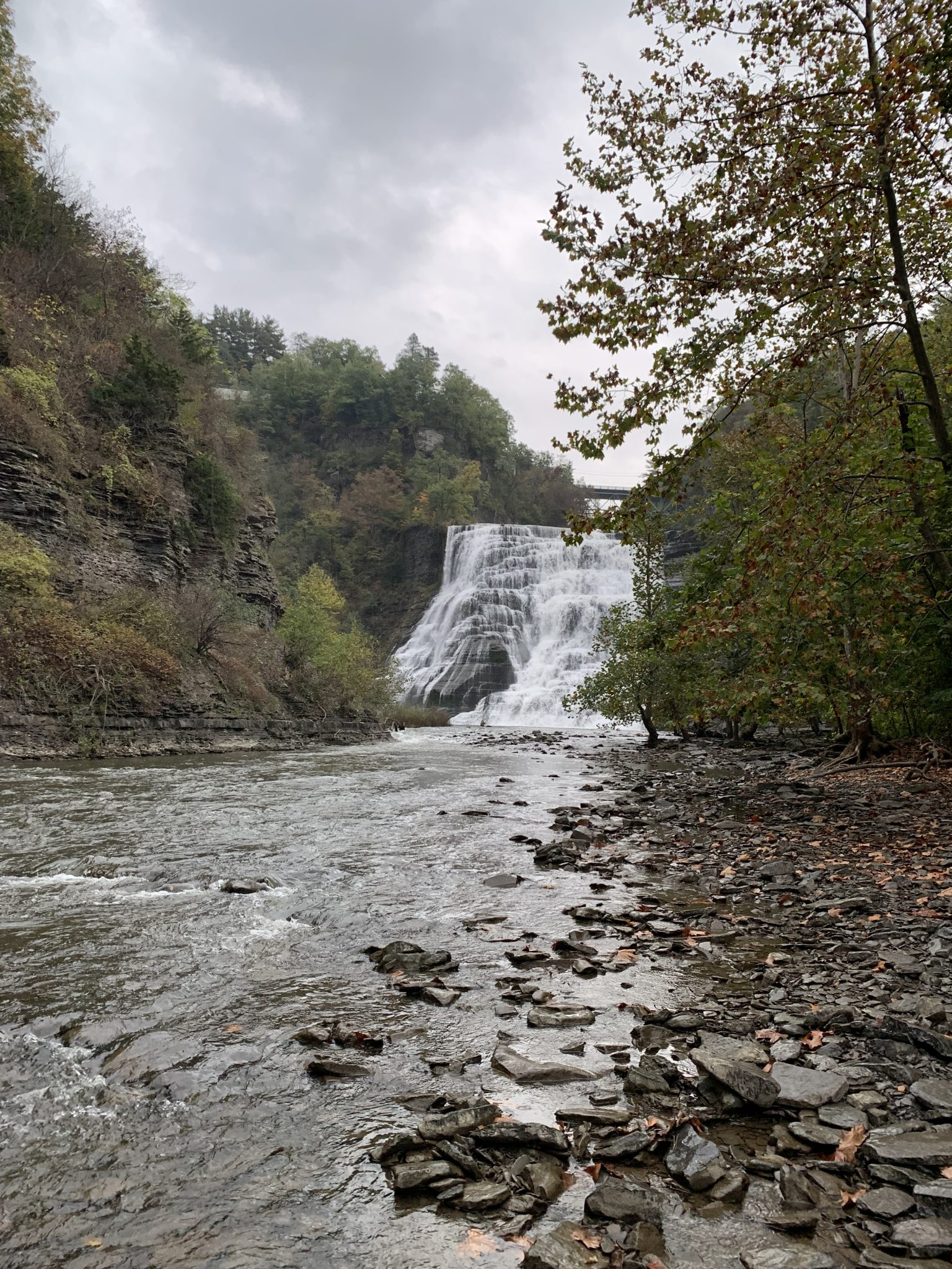Ithaca Falls Natural Area - Northeast Allie