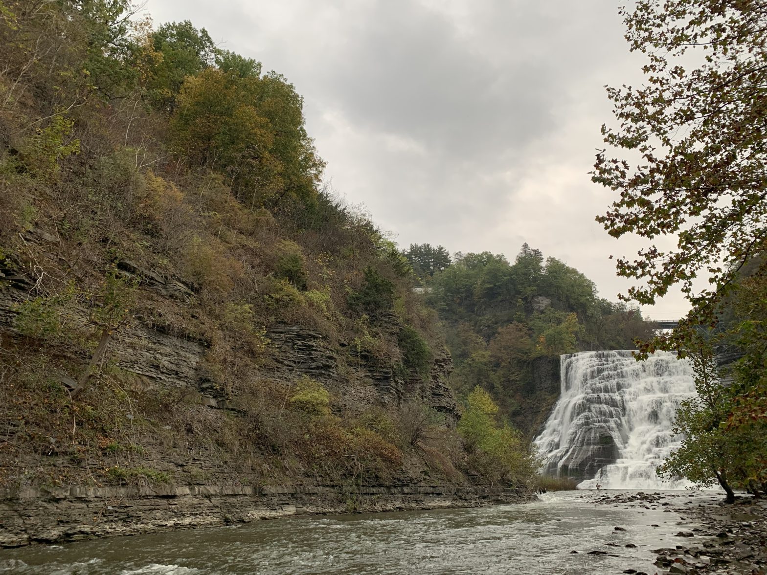 Ithaca Falls Natural Area - Northeast Allie