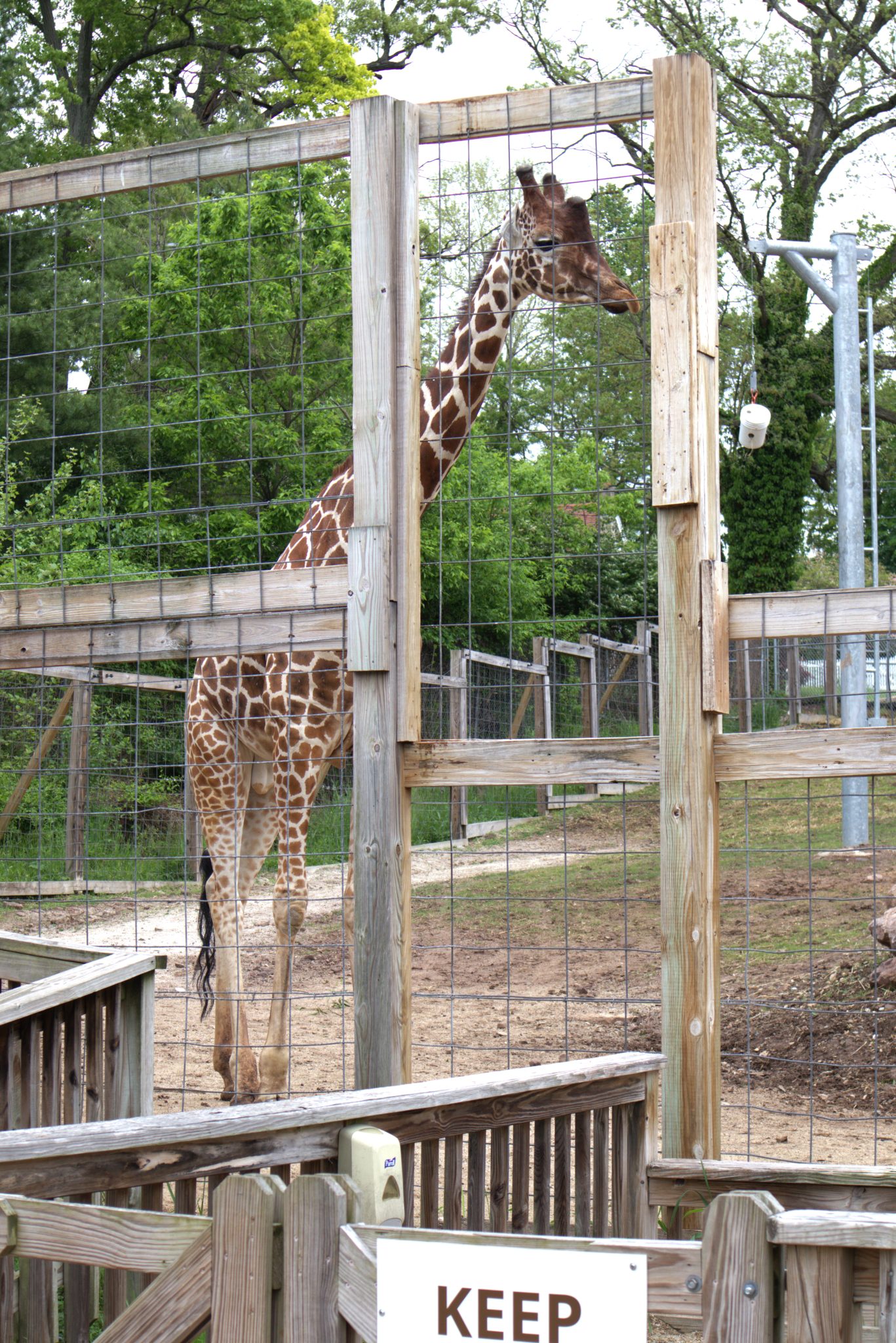 A Day Trip To The Elmwood Park Zoo - Northeast Allie