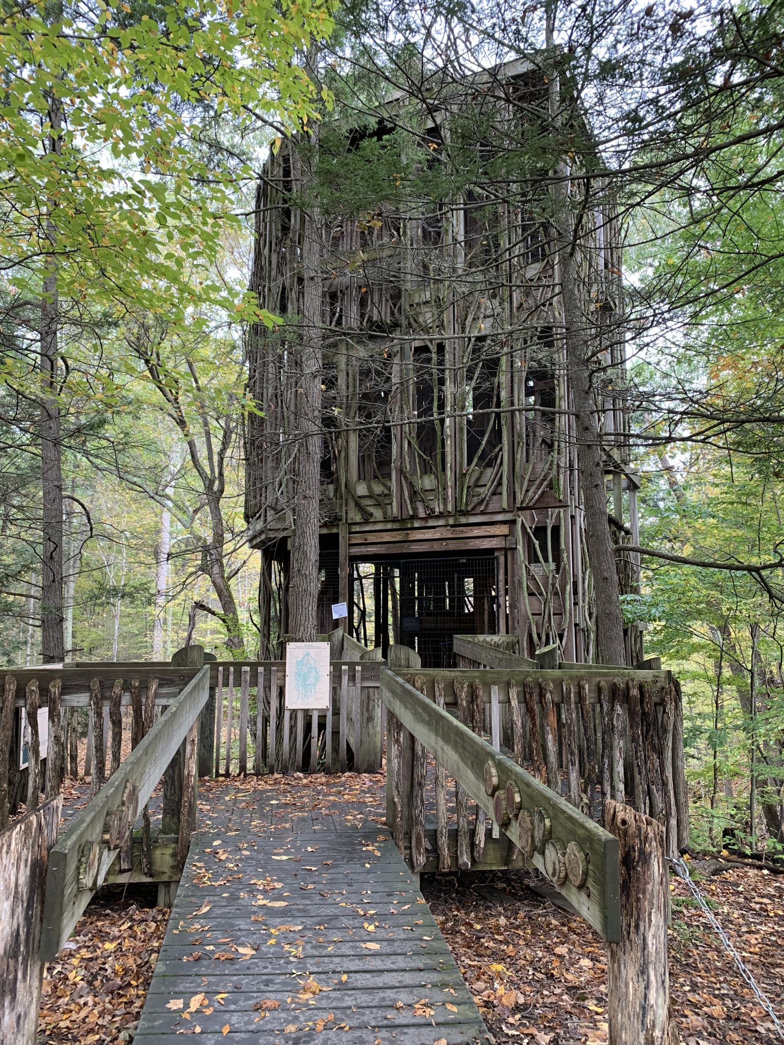 The Best Things To Do In Ithaca New York - Northeast Allie