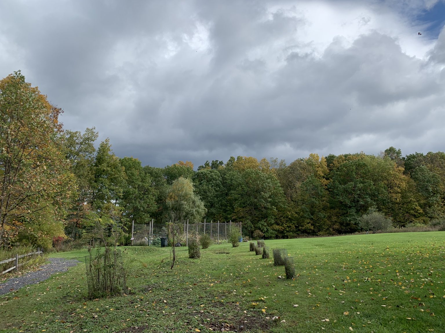 Why You Should Visit The Cayuga Nature Center In Ithaca New York ...