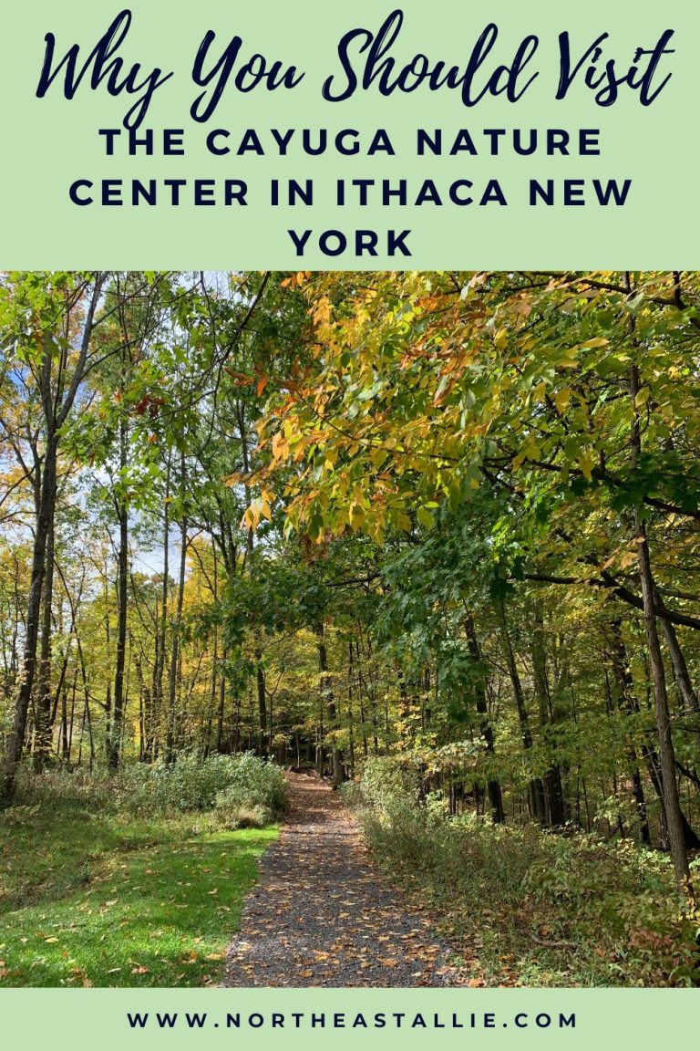 Why You Should Visit The Cayuga Nature Center In Ithaca New York ...