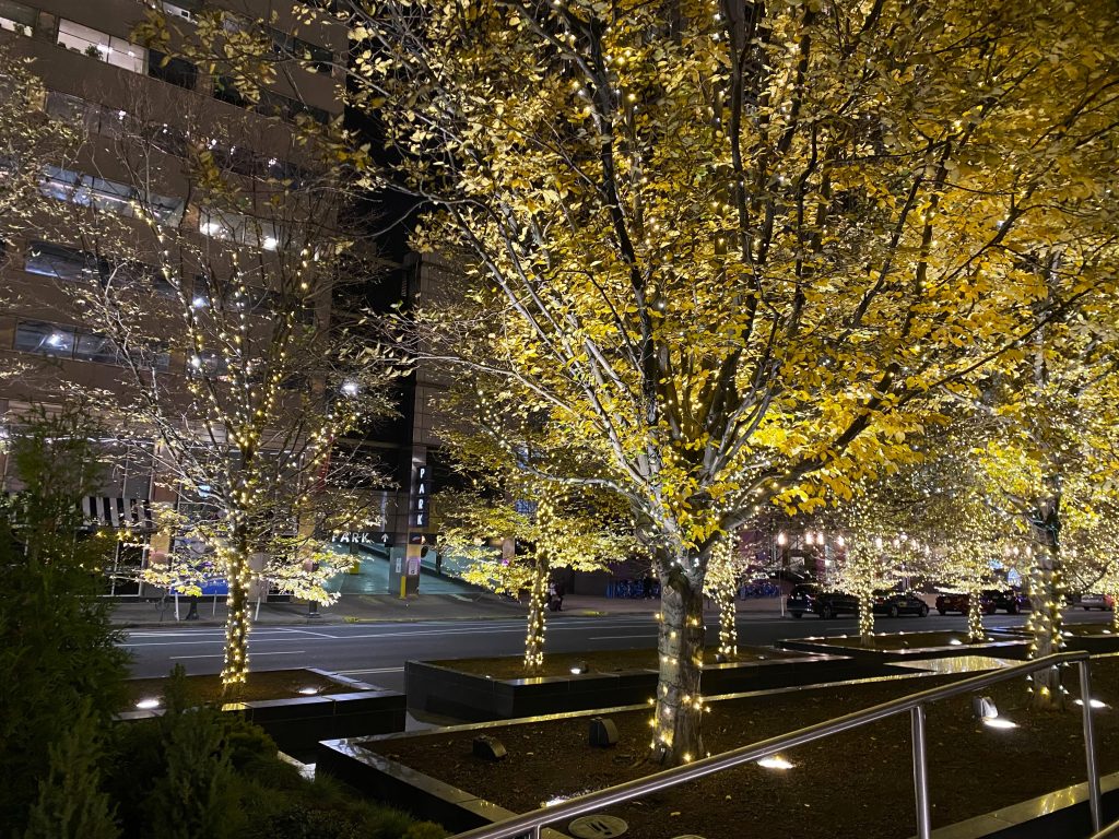 Comcast Holiday Spectacular In Philadelphia - Northeast Allie