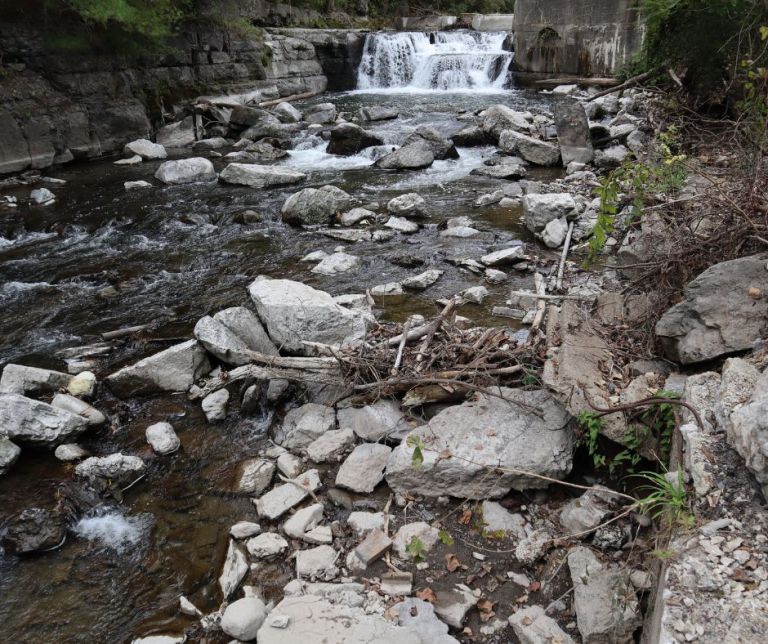 Cascade Mills Falls - Northeast Allie