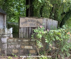 Rose Bridge Farm And Sanctuary - Northeast Allie