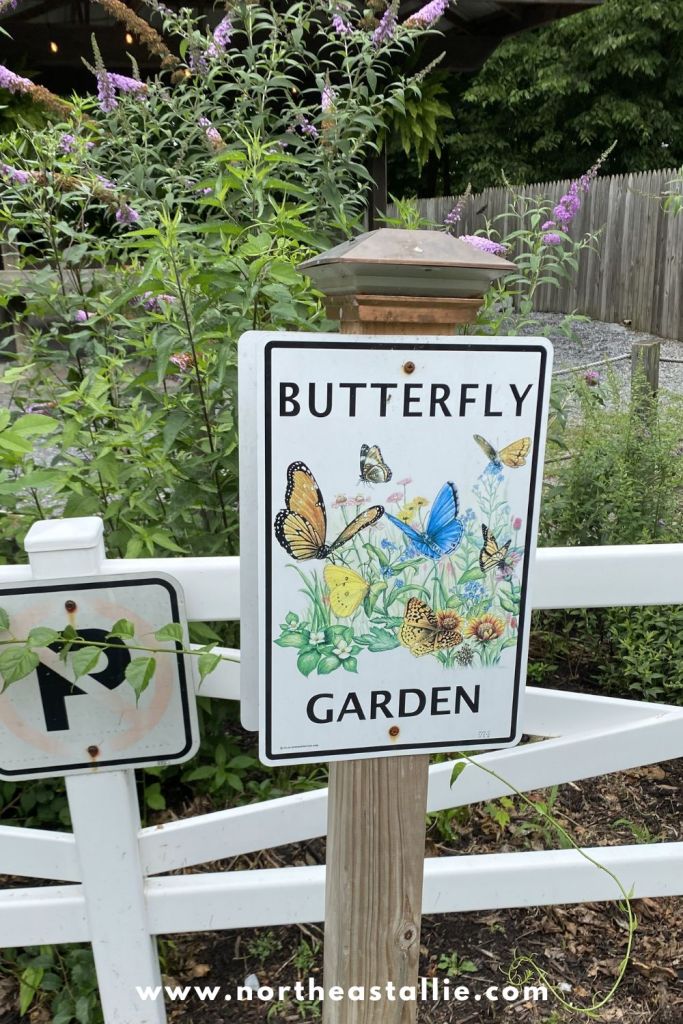 Indian Echo Caverns - Northeast Allie