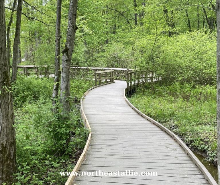 Churchville Nature Center Pennsylvania - Northeast Allie