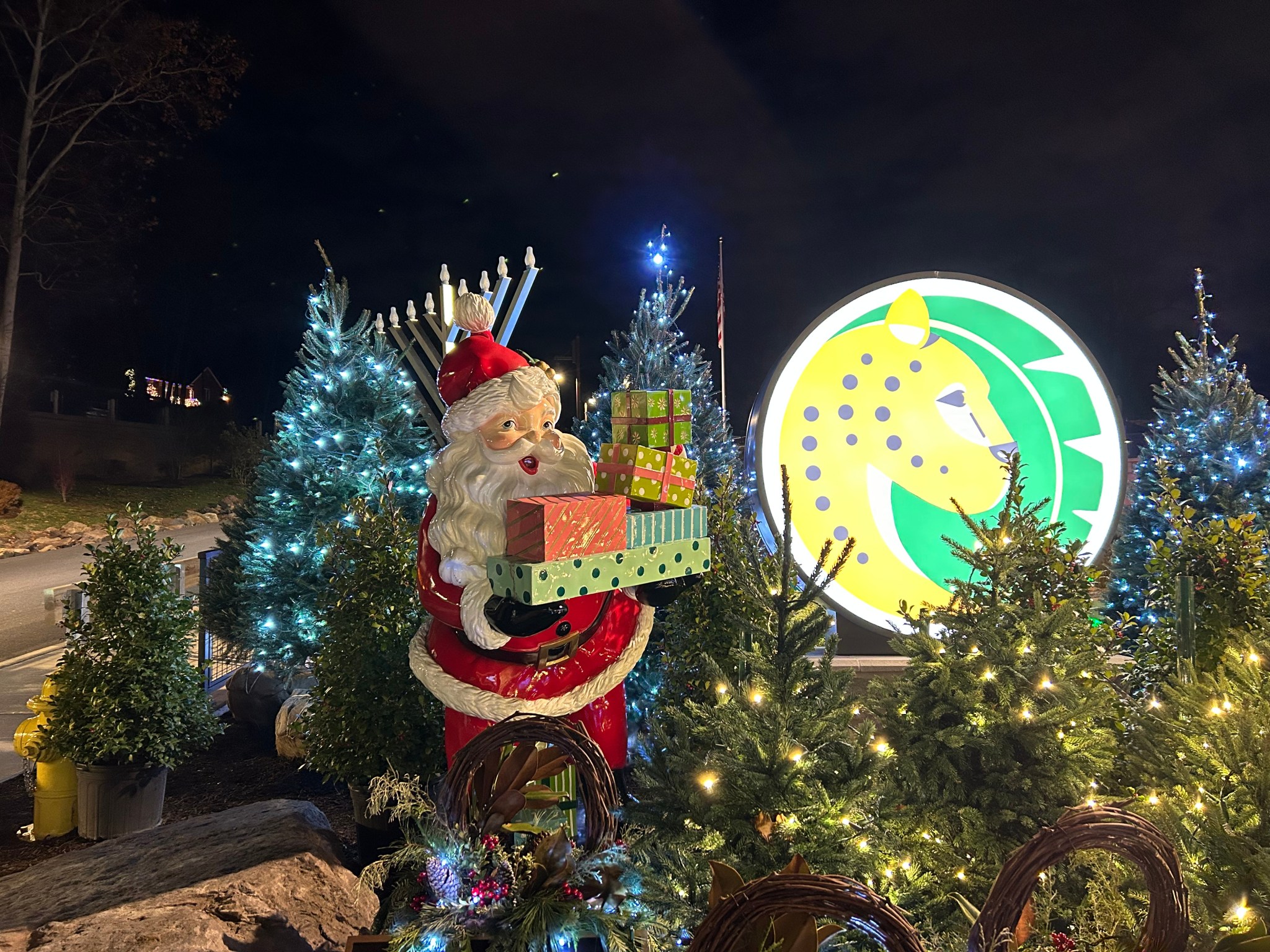 Elmwood Park Zoo Wild Lights - Northeast Allie